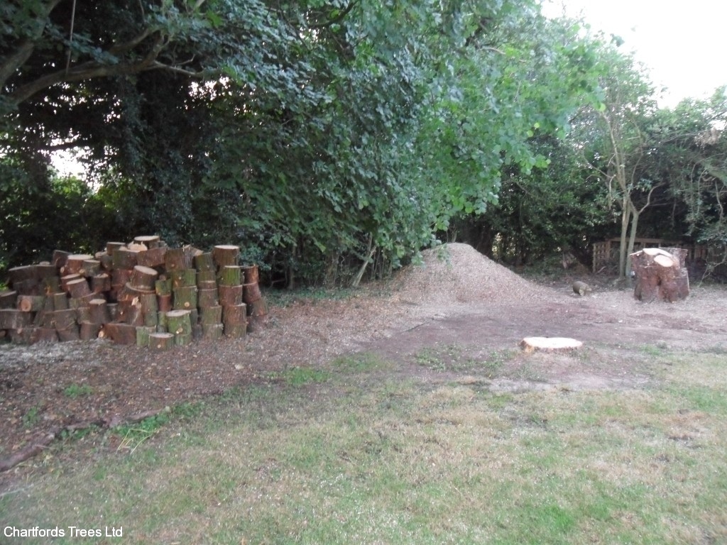 Gallery - Chartfords Trees Limited