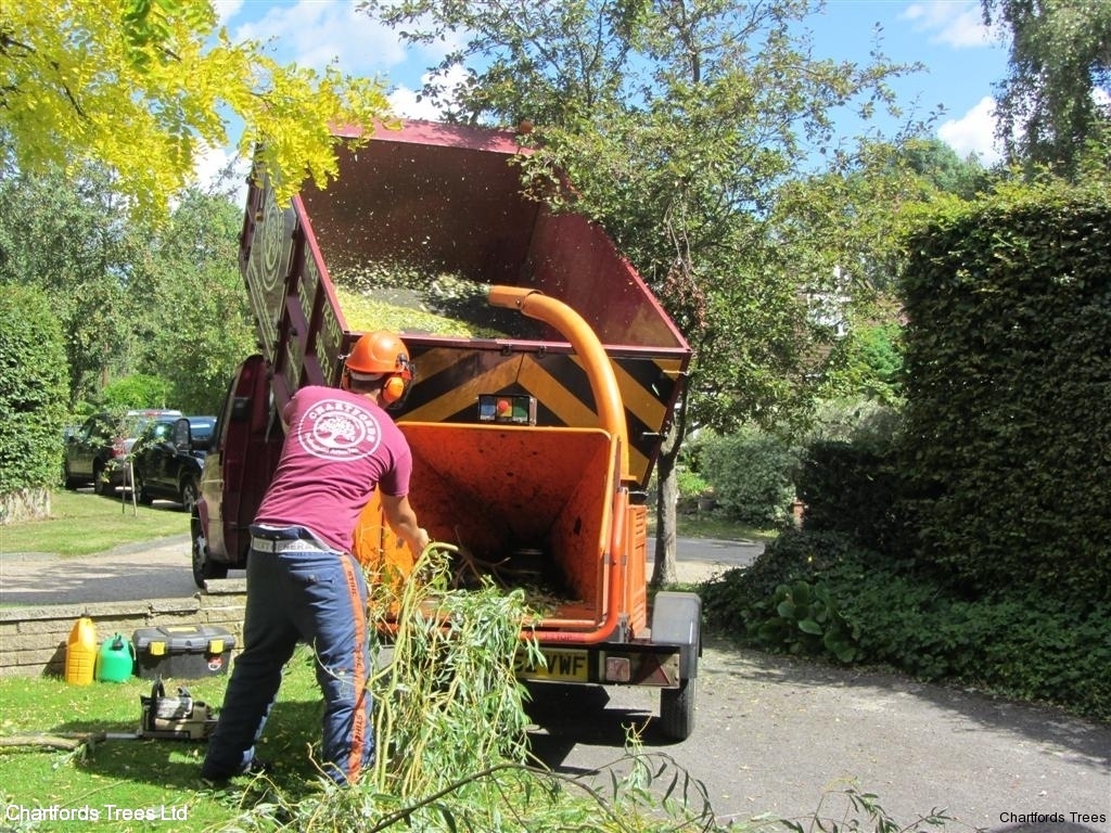 Gallery - Chartfords Trees Limited